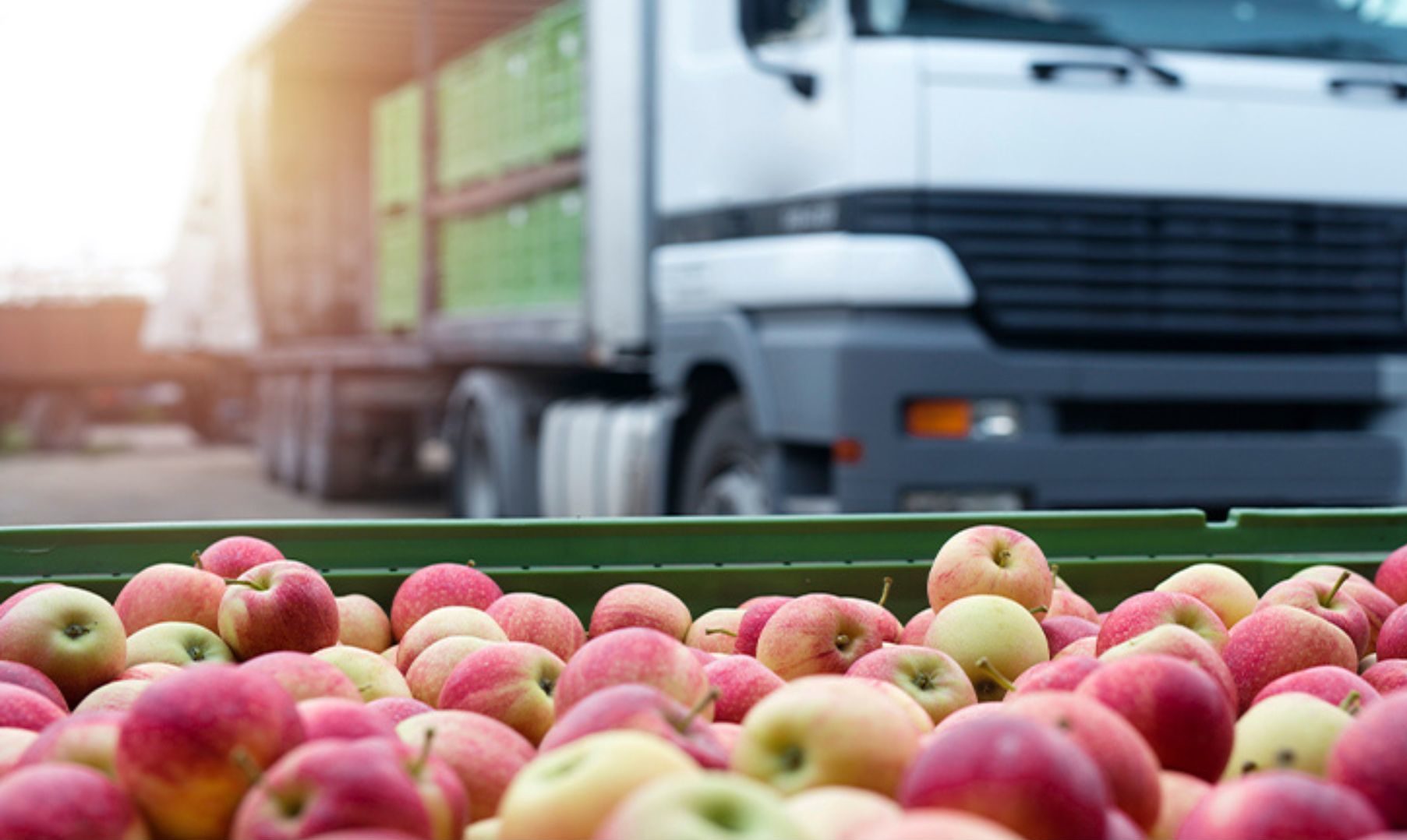 The world’s affluent must start eating local food to tackle the climate ...