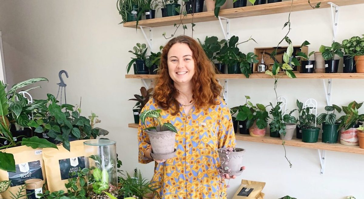 The plant world is here to stay – it's time to green our cities - The ...
